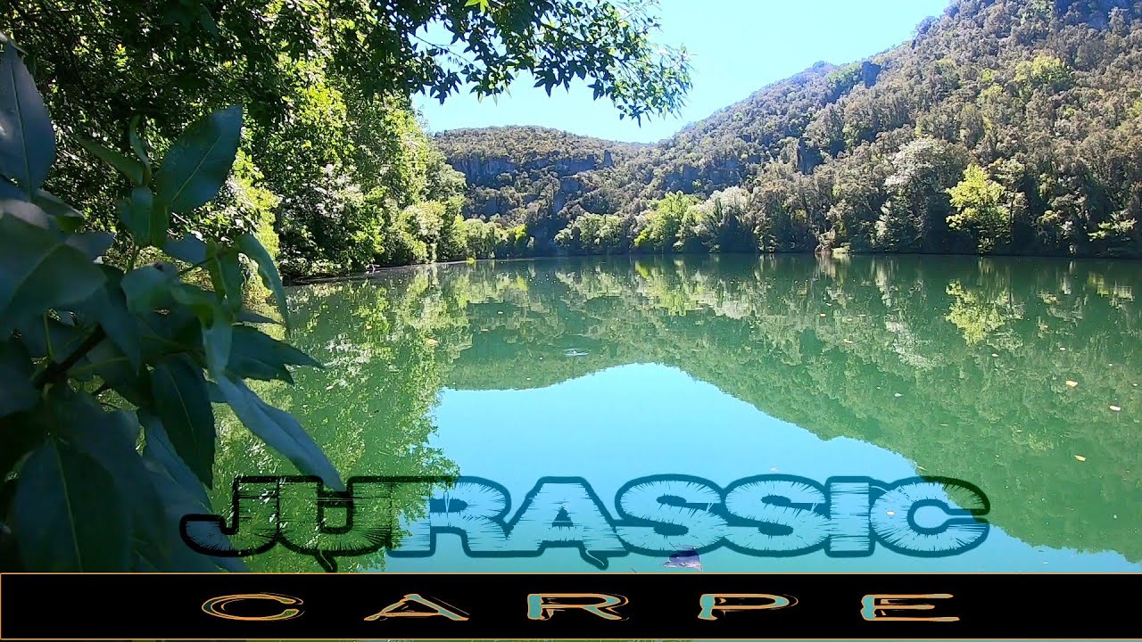 CARP RUSH TV | Retour à JURASSIC CARPE